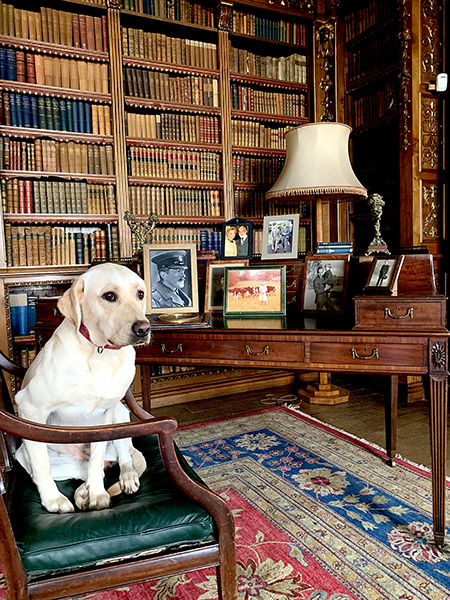 Royalty and the Real Downton Abbey – Lady Carnarvon